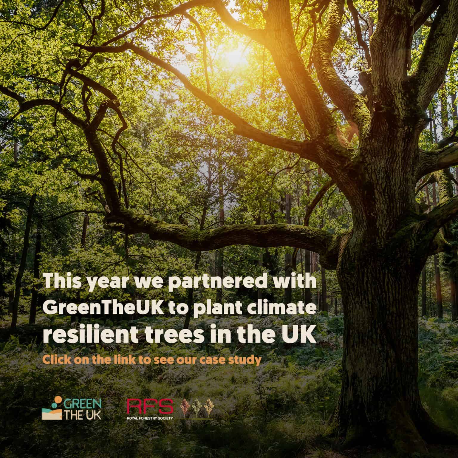 How are women's urinals good for the planet? - PEEQUAL